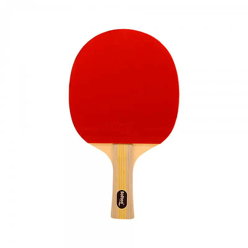 Pala Ping Pong P900 Pro - Adrada.es