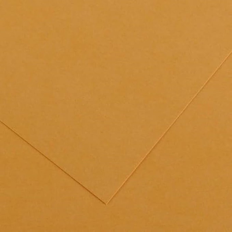 Cartulina a4 Cuero Canson - Adrada.es Cartulina Color Cuero Cartulina Presentación Individual ...